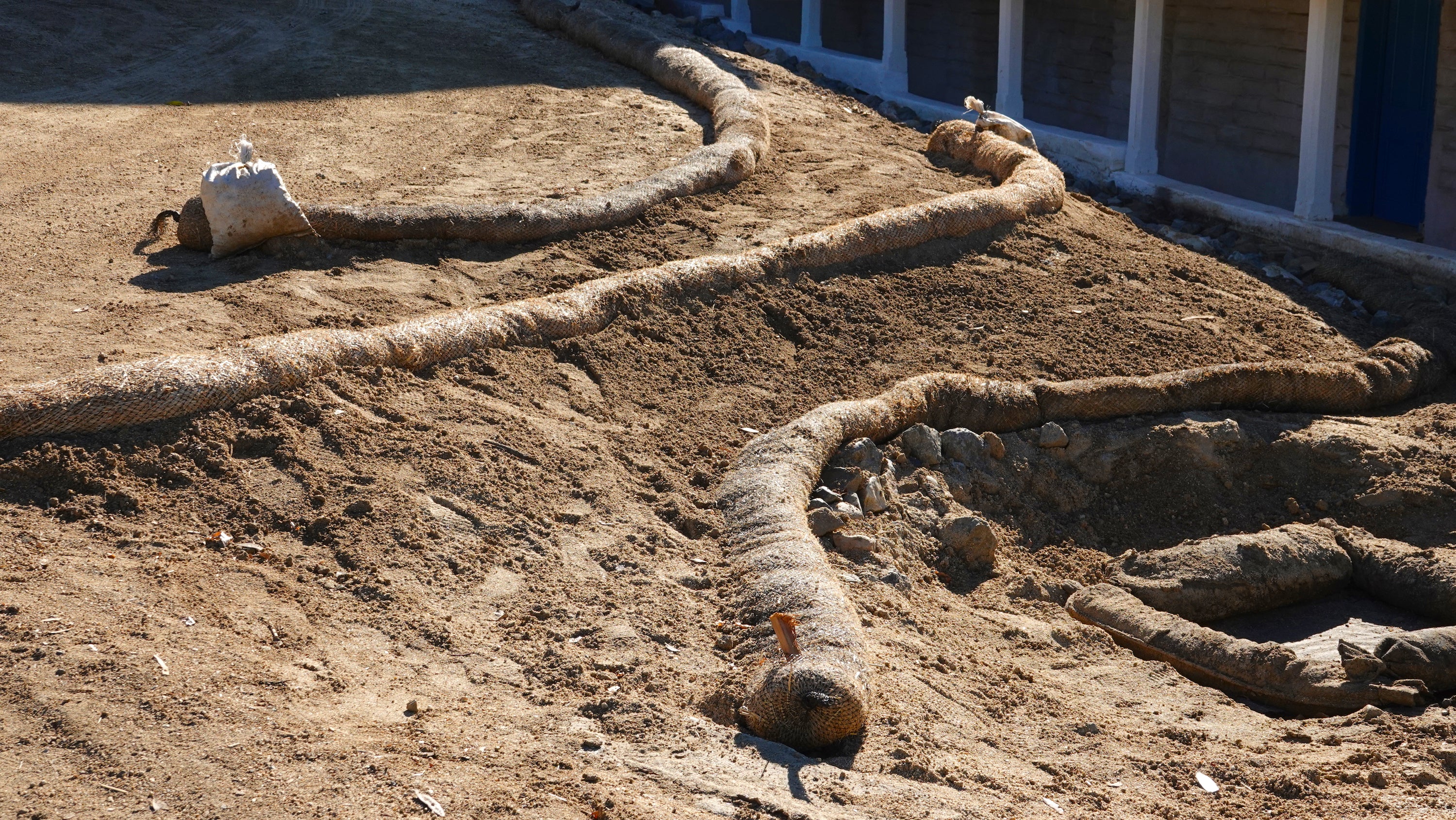 BioStakes - Biodegradable Erosion Control, Sod & Landscape Hold Stake ...